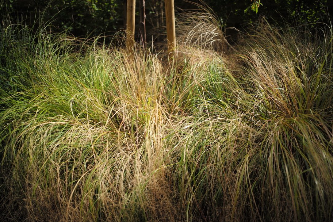 Our mission - Growing Space