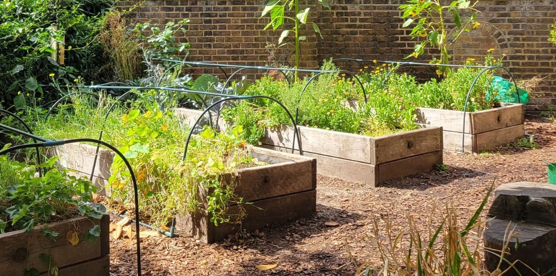 Community Events - Growing Space